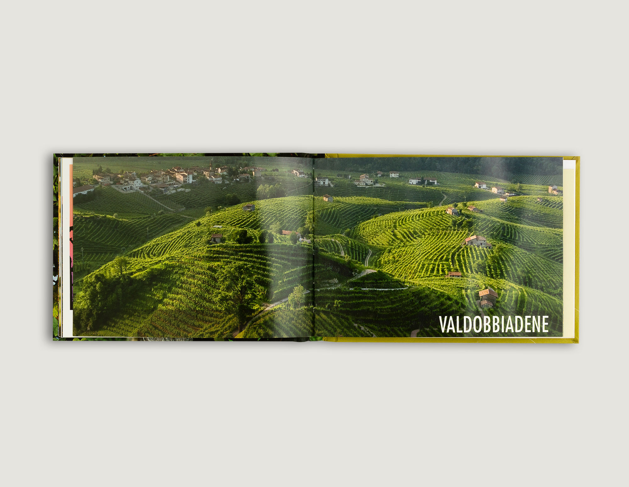 Le colline del prosecco - Viaggio fotografico fra vigneti e territorio